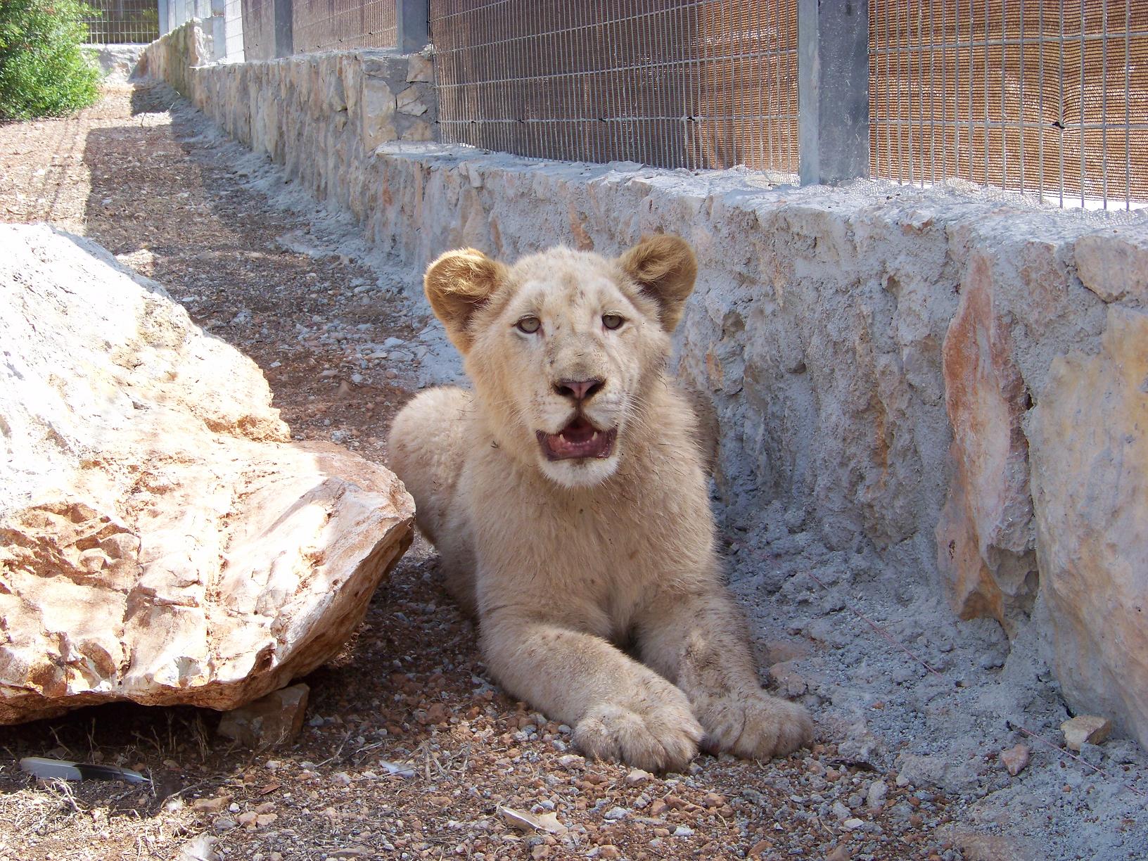 Paphos Bird & Animal Park (Now Paphos Zoo) - Rent Villas Paphos